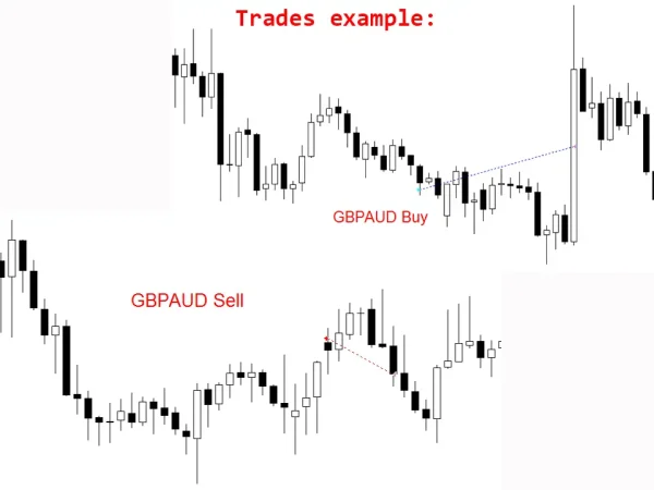 Multi Sniper mq EA MT4 - FXProEA - Enhance Your Trading Precision ...